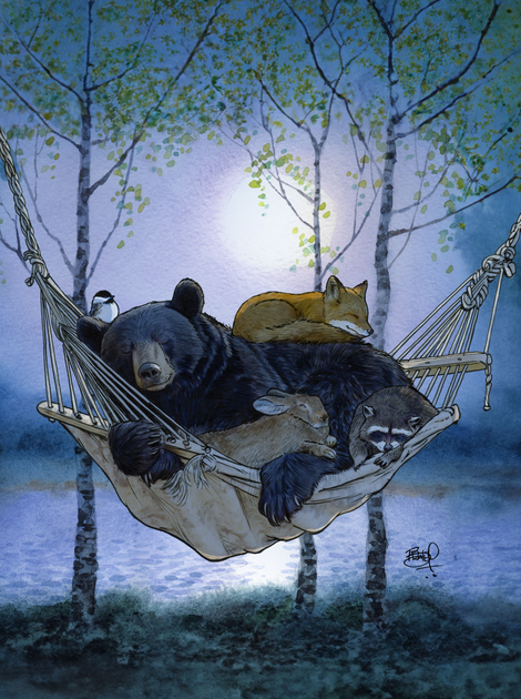 Nighty Night #289 – Shawn Braley Illustration